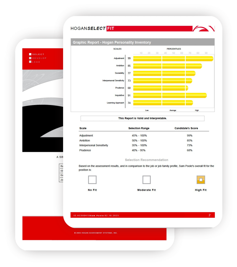 Hogan Personality Inventory (HPI)